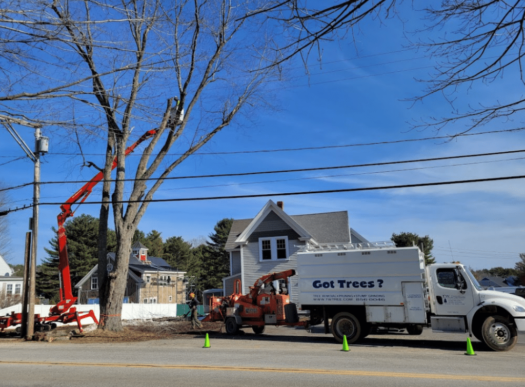 T W Enterprises, Inc., Tree & Landscape Co., | Our Equipment